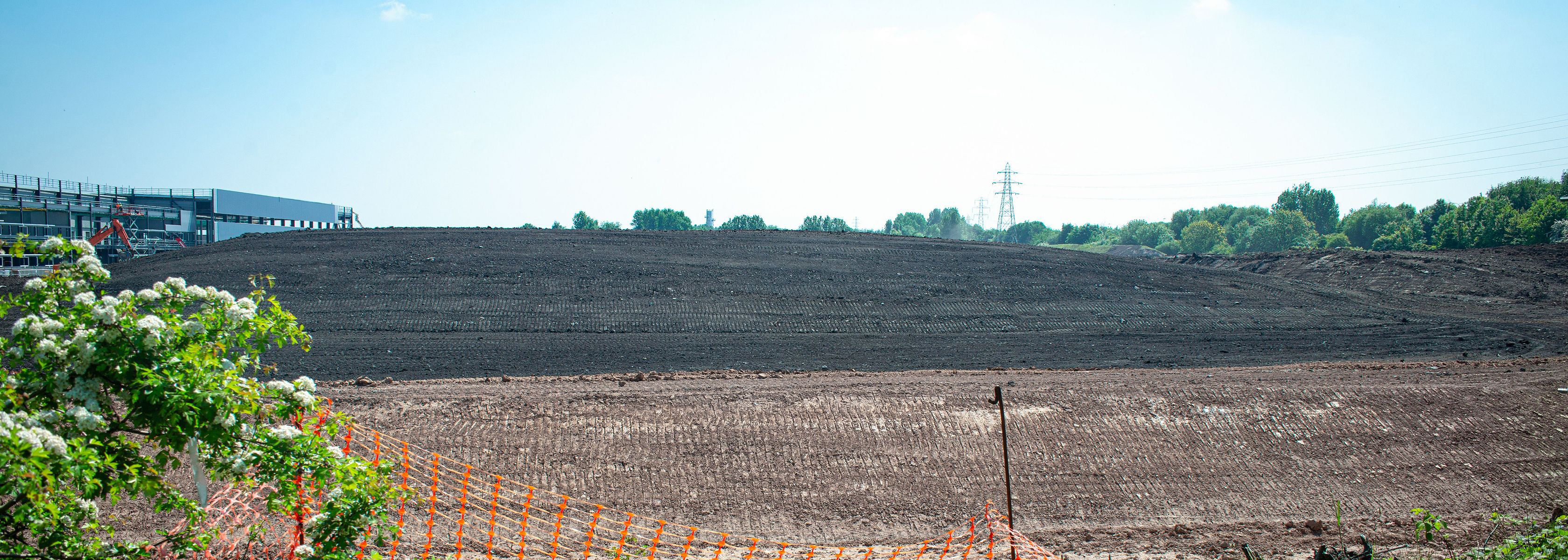 Real Estate Development | Environmental | Risk Strategies